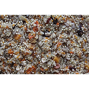 Higgins Worldly Cuisines Spice Market Bird Treat, 2 Ounces (3 Pack)