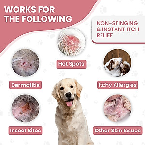 We Love Doodles USDA Organic Dog Hot Spot Spray, Itch Relief for Dogs Licking Paws, Made in USA, Anti-Itch Allergies, Dermatitis & Skin Irritation Treatment, Veterinarian Approved, 118mL