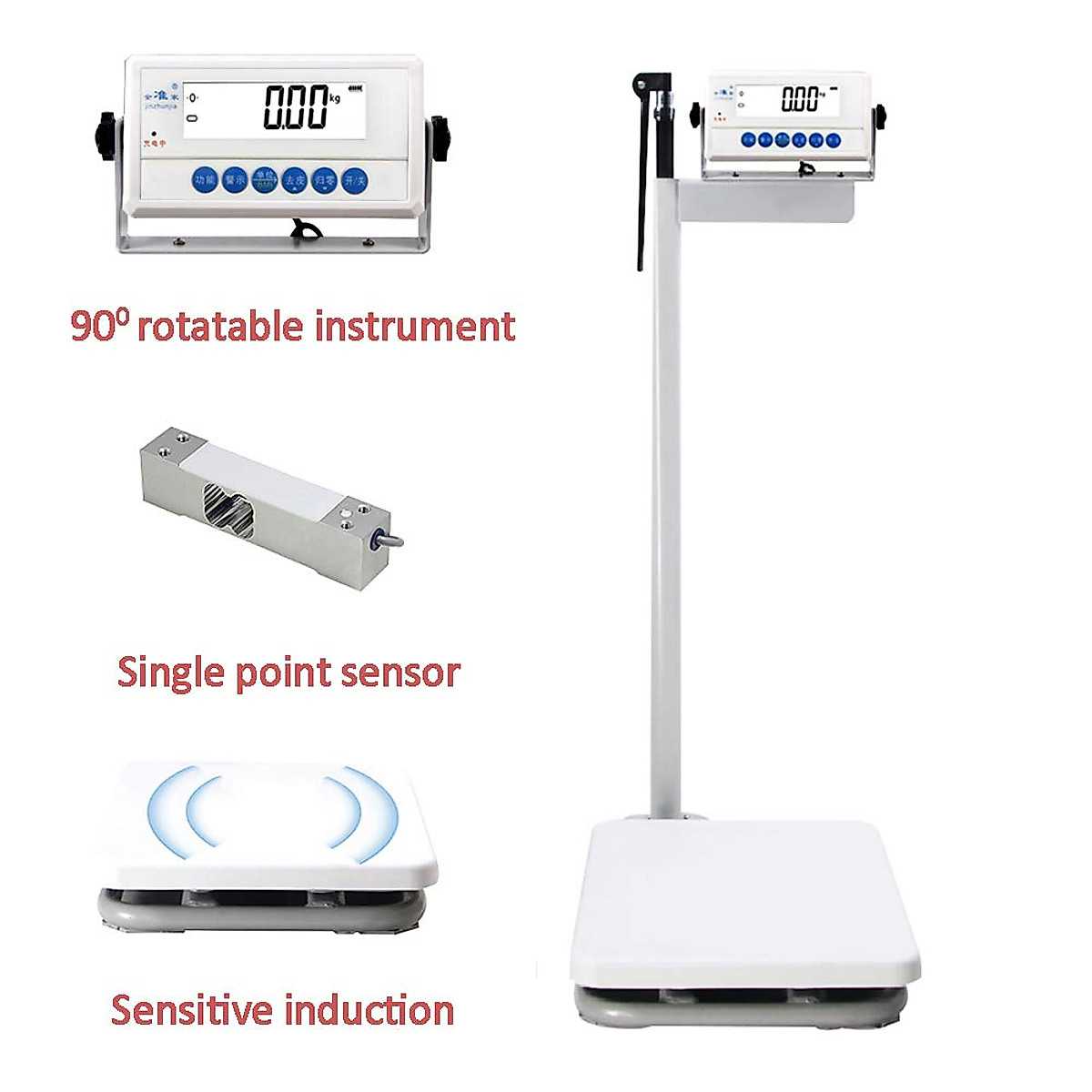 Digital Health Scale with Height Rod, Electronic Height and Weight Physician Scale Capacity,200kg Capacity
