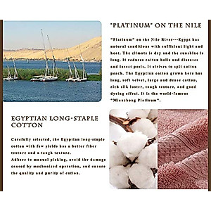 900 GSM 100% Egyptian Cotton Towel,Oversized Bath Towels - Heavy Weight & Absorbent - top Luxury Bath Towels at a Seven-Star Hotel in Dubai,28 x 60 inches,2-Piece (Violet)