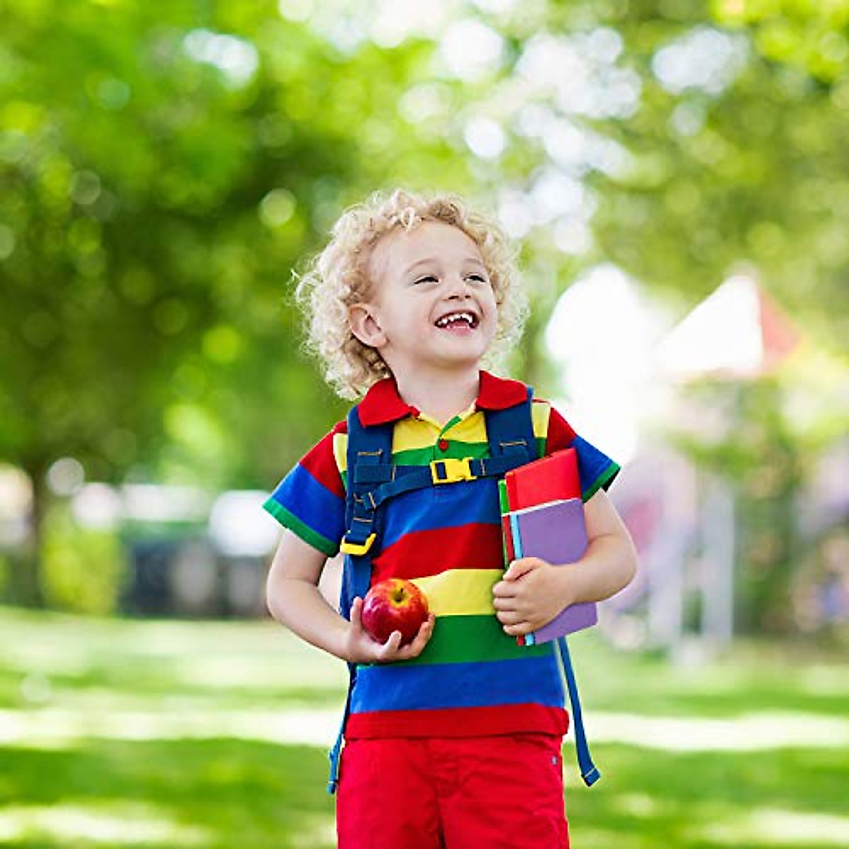 XYark Small Pocket Colorful Notebook Journal Bulk, College Ruled Lined Paper, Travel Journal Set for Traveler, Kids, Students and Office, Writing Diary Subject Notebooks, 3.5×5.5 inch, 12 Pack