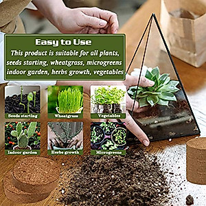 ZeeDix 50pcs(30mm) Compressed Coco Coir Fiber Potting Soil- Coir Medium, Coconut Soil for Indoors or Outdoors, Bonsai, Herbs, Plants, Flowers and Vegetables