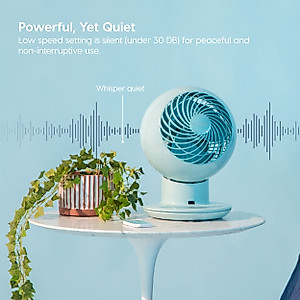 IRIS USA WOOZOO Fan with Remote, Oscillating Fan, Desk Fan, Table Air Circulator, Globe Fan, 5 Speeds, 82ft Max Air Distance, 4h Timer, 11 Inches, 90° Adjustable Tilt, Low Noise, Blue