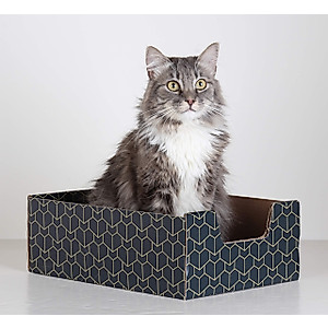 Purrfect Cat Box , Blue