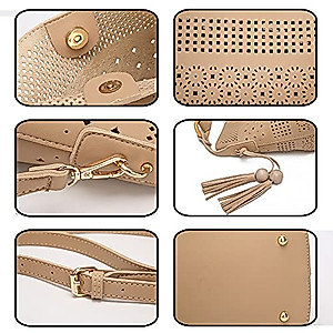 Downupdown 2PC Handbags and Purse for Women Hollow Out Leather Top Handle Handbag Tassel Beach Bag Tote Bags Hobo Purses Set-Pink