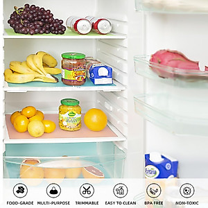 FinalNest 16Pcs Refrigerator Mats, Waterproof Non-Slip EVA Refrigerator Liner Pads Drawers Shelves Cabinets Storage Kitchen and Placemats-G-16-1