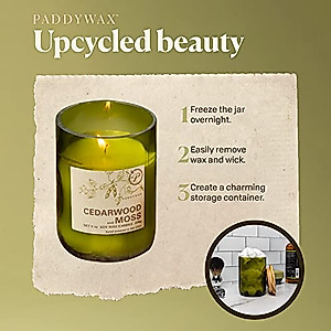 Paddywax Eco Green Collection Hand-Poured Artisan Scented Candle, 8-Ounce, Cedarwood & Moss