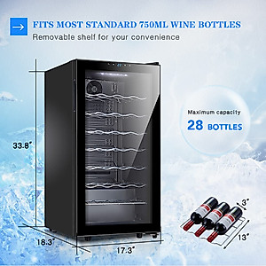 STAIGIS 28 Bottle Compressor Wine Cooler Refrigerator, Small Freestanding Wine Fridge for Red, White and Champagne, Mini Fridge with 40-66F Digital Temperature Control Glass Door