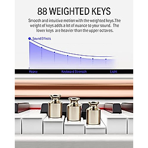 Donner DDP-100 Digital Piano White with Piano Bench