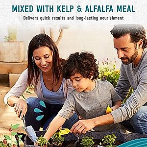 Back to the Roots Edibles Plant Food - Organic, Sustainably-Made Garden Fertilizer Made with Dolomitic Limestone, Mycorrhizae, and Kelp and Alfalfa Meal - 1.5 lb Premium Blend