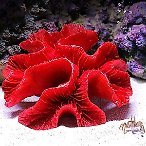Danmu 1Pc of Polyresin Coral Ornaments, Aquarium Coral Decor 4 7/10" x 4 7/10" x 1 9/10" for Fish Tank Aquarium Decoration[Updated Version]