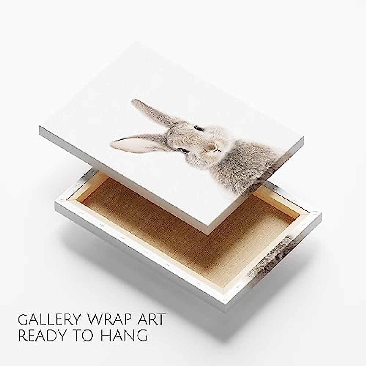 Set of Baby Animals | Safari Jungle Animal Pictures | Quality 11" x 14" Prints on 1.5" Thick Gallery Wrapped Canvas For Nursery Kids Room | Ready to Hang (4 Pack Baby Animal, 11" x 14")