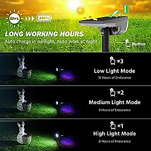 USOKYO 2 Pack Solar Spot Lights Outdoor, 34 LED Solar Lights Outdoor Waterproof IP65 Solar Garden Pathway Lights 3 Modes Outdoor Solar Lights for Yard Porch (Cool White & RGB Tail Light)