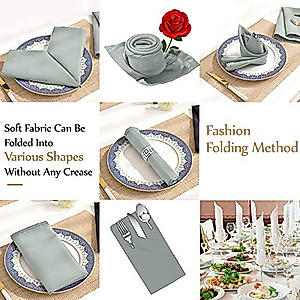 Cloth Napkins Washable and Soft Dinner Napkins 12 Pack Polyester Napkins for Dining Restaurant Hotel and Wedding