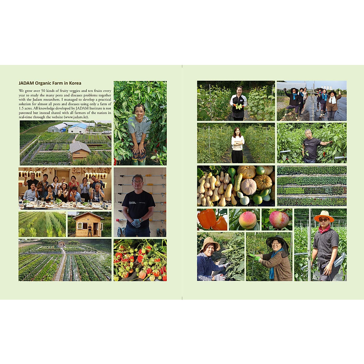 JADAM Organic Farming (Second Edition) : Innovative organic farming technology established in Korea. No-till, Weed free, and High-Yield, Ultra-Low-Cost cultivation technologies that can dramatically help reduce the labor force. Make your own All - Powerfu