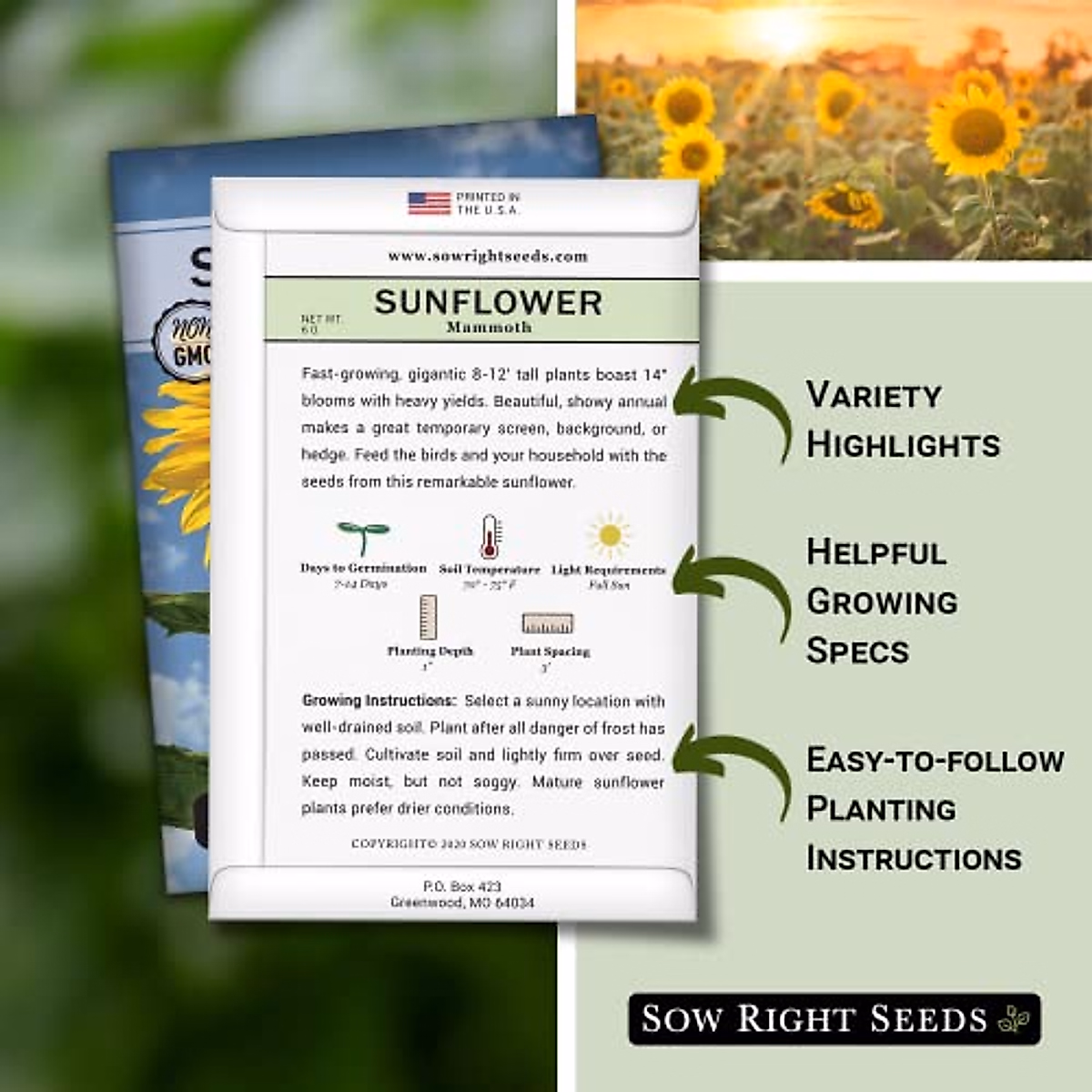 Sow Right Seeds - Mammoth Sunflower Seeds for Planting - Grow Giant Grey Stripe Sun Flowers in Your Garden - Non-GMO Heirloom Seeds with Full Instructions for Planting Bright Sunflowers at Home (3)