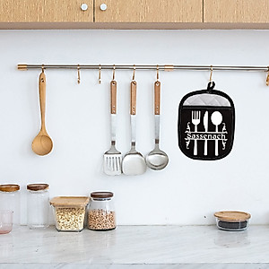 LEVLO Dragonfly Fans Gifts Sassenach Pot Holders Dragonfly Lover Gifts Friend Sister Mother (Sassenach)