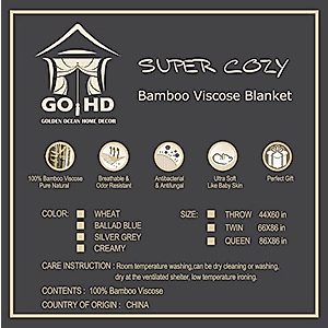 GOHD Super Cozy 100% Bamboo Fiber Blanket. Ultra Softness and smothness Like Silk. Cooling Blanket Absorbs Body Heat to Keep Cool on Warm Night (Queen, Silver Grey)