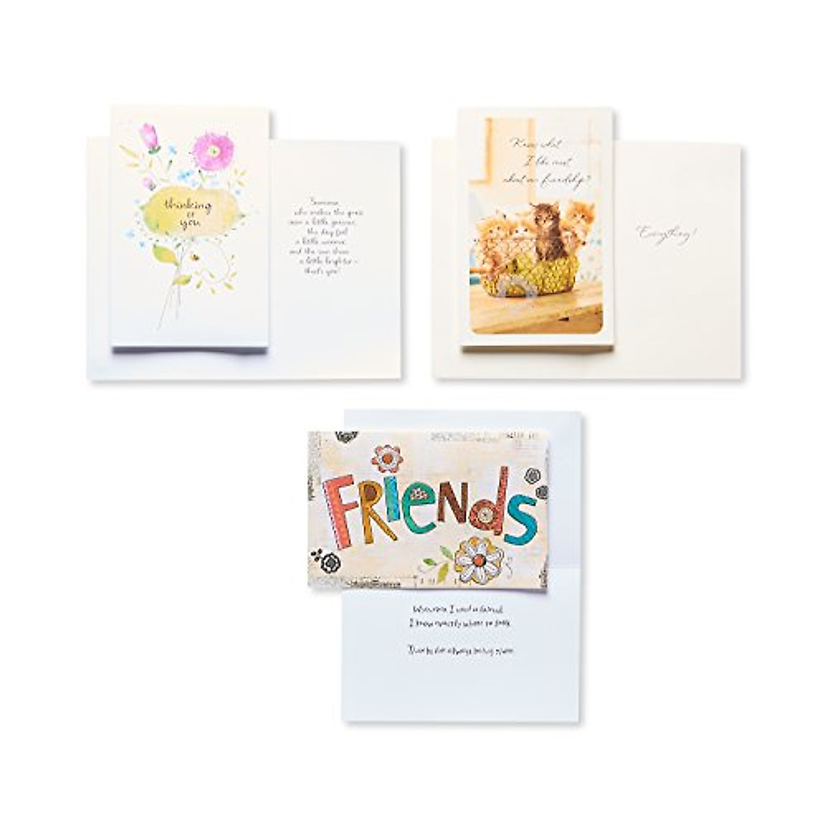 American Greetings Friendship Cards, Assorted (12-Count)