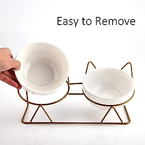 Trosetry Cat Bowls, Double Ceramic Pet Bowls with 15°Tilted Raised Stand for Food and Water, Anti Vomiting Cat Dish Feeder, Perfect for Puppy Cats and Small Dogs(Double Bowls1)