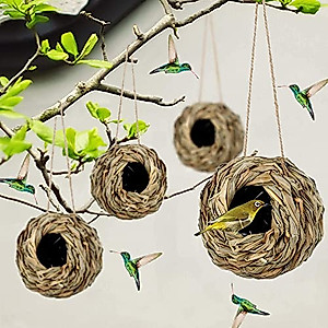 winemana 4 Pack Hanging Hummingbird Nest House for Outside, Ball Shape, Hand Woven, Durable Sturdy, Made of Natural Grass, Perfect for Garden Patio Lawn Office Indoor