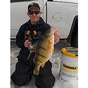 Frabill Bait Station Bucket | Large Aerated Live Bait 6-Gallon Storage