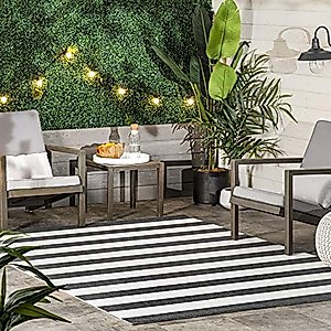 nuLOOM Christa Striped Indoor/Outdoor Area Rug, 5x8, Black