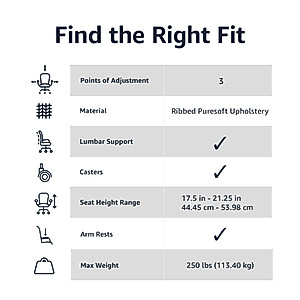 Amazon Basics High-Back Executive Swivel Office Desk Chair with Ribbed Puresoft Upholstery, Lumbar Support, Modern Style, 23.9"D x 24.69"W x 41.5"H, Generous Grey