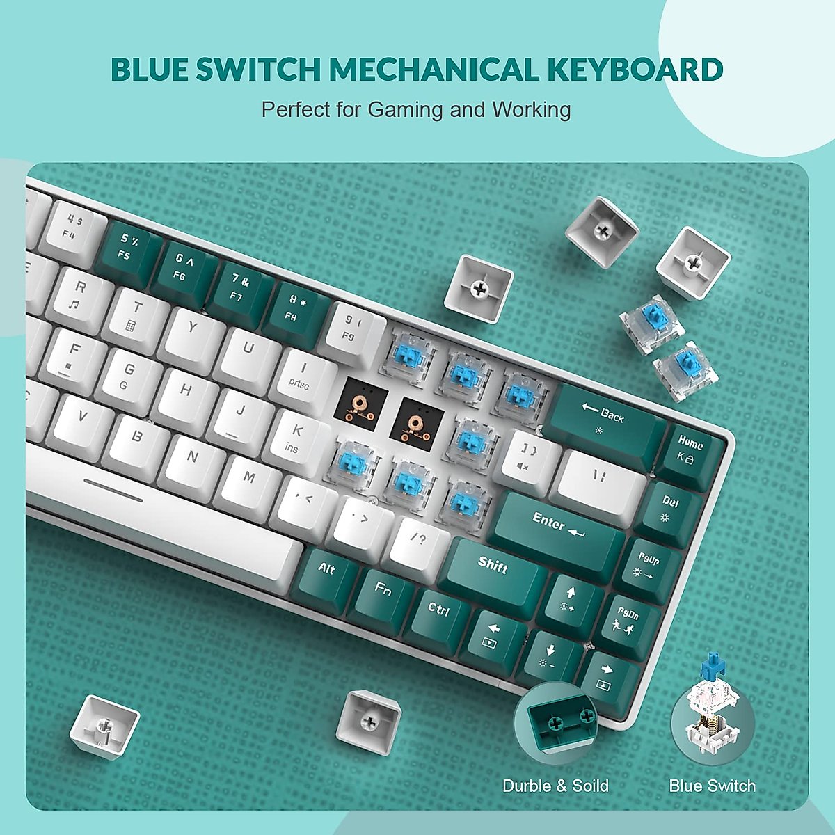 ZIYOU LANG RK-T8PR0 Wired 65% Mechanical Gaming Keyboard and Mouse Combo with RGB LED Backlit Anti-ghosting TKL Mini 68 Key Coiled C to A Cable Tactile Blue Switch for PS4 PS5 Xbox PC Mac Gamer(Green)