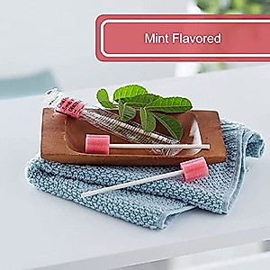 McKesson Oral Foam Swabs with Dentifrice, Gentle and Daily Oral Cleaning, Mint, 250 Count, 1 Pack