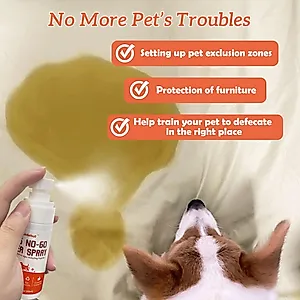 Ruidehut Dog Potty Training Spray & NO-GO Area Spray | Helps Train Puppies & Dogs Where to Potty | Dog Pee Training Spray | Suitable for Indoor & Outdoor Use | (1.6 oz Spray Set)