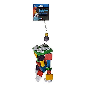 Prevue Pet Products 60955 Bodacious Bites Crazy Legs Bird Toy, Multicolor
