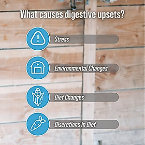 Van Beek-Natural Science DiaGel for Equine - All Natural Horse Supplement to Help Maintain Digestive Health & Function - Oral Gel to Help Control Diarrhea - Natural Horse Products