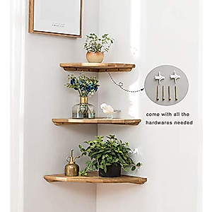 3pcs Oak Corner Shelf Wall Mount Set Round End Floating Speaker Shelf Display Shelf for Small Plant Photo Frame,Storage for Bedroom Kitchen,Living Room,Office