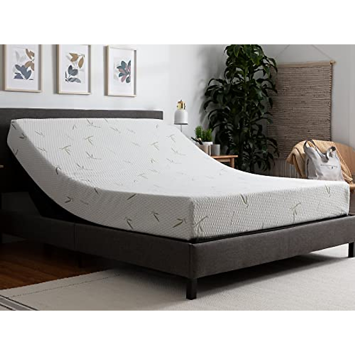 Tulo 8" Medium Comfort Memory Foam Bamboo Pressure Relief Mattress in a Box | Queen Size