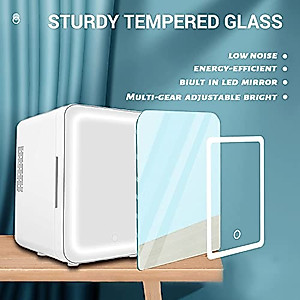 VNIMTI Mini Skincare Fridge 4 Liter/6 Cans, Portable Cosmetic Fridges with Makeup Mirror, Cooler & Warmer, AC & DC, Small Refrigerator for Bedroom, Car, Office, Outdoor (White - 4L)