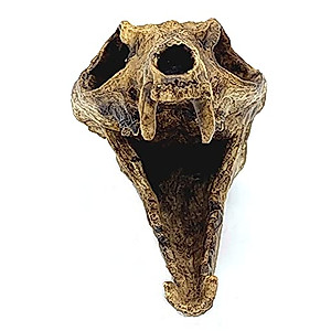 Screaming Aztec Death Whistle - Carnivore