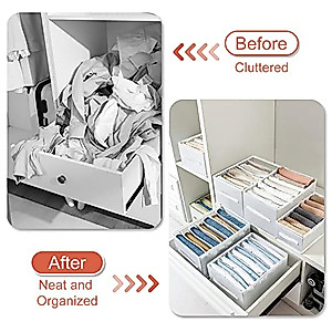 Lirex Clothes Drawer Organizer, 9 Compartments PP Board Mesh Large Capacity Wardrobe Clothes Storage for Folded Jeans Pants T-shirt Legging Dress Closet Organizer Portable Clothing Storage Bins