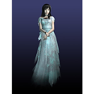 Spirit Camera: The Cursed Memoir