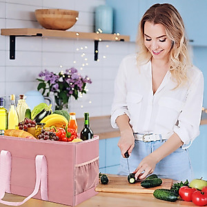 Litvyak Extra Large Utility Tote Bag, Reusable Grocery Bags Collapsible Tote Shopping Bag for Groceries, Storage, Picnics, Beach, Pool, Laundry, with Reinforced Wire Frame & Handles(Pink)