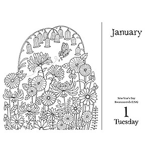 Johanna Basford 2019 Coloring Day-to-Day Calendar