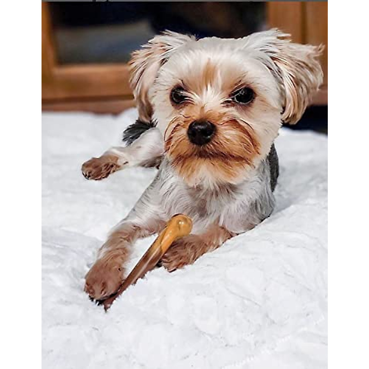 Nylabone Power Chew Flavor Frenzy Durable Dog Chew Toys Twin Pack Bacon Cheeseburger & Apple Pie Small/Regular (2 Count)