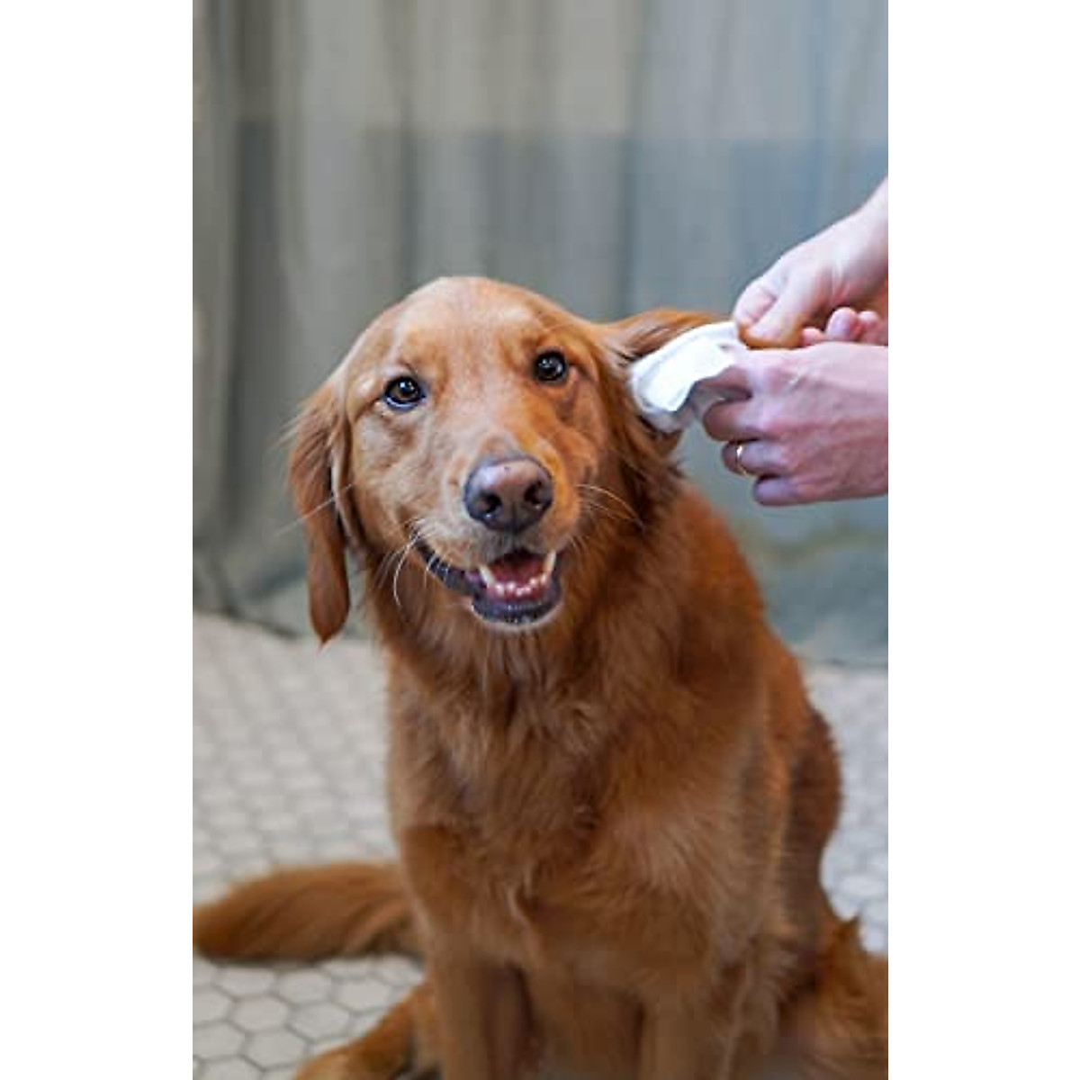 Four Paws Dog and Cat Ear Wipes, 25 count