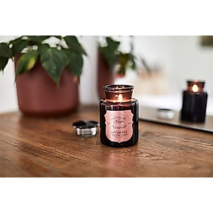 Paddywax Scented Candles Apothecary Noir Glass Jar Luxury Artisan Candle, 8-Ounce, Saffron Rose