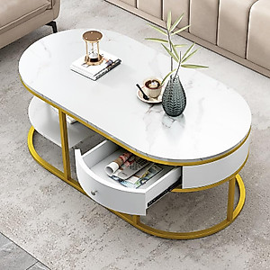 Qiyom Modern Faux Marble Coffee Table, Oval Coffee Table with Storage Shelf and Metal Frame, White Coffee Table Cocktail Table for Living Room, Home Office