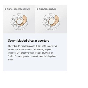 Sony 24-70mm f/4 Vario-Tessar T FE OSS Interchangeable Full Frame Zoom Lens (Renewed)