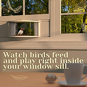 Skybox Window Bird Feeder Inside House - 180 Clear View of Birds Feeding - Bird Box Fits Windows 30-41 inches - Including Rain Cover Slide