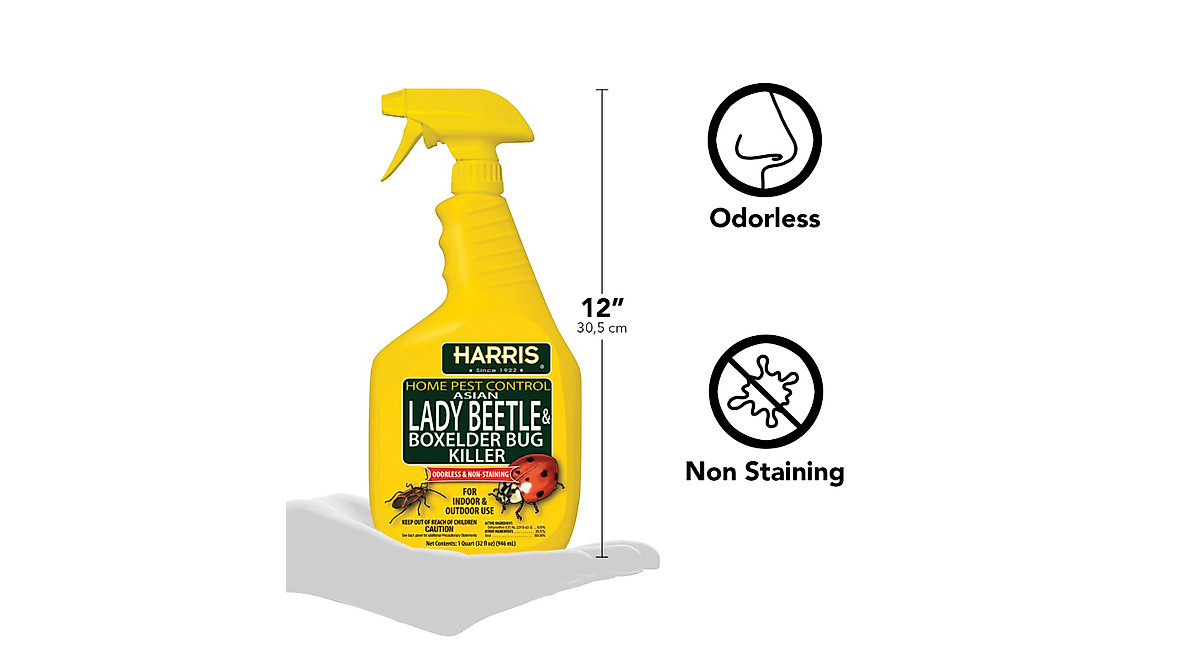 Harris Lady Beetle & Box Elder Killer - 32oz Spray
