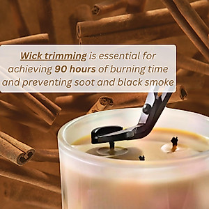 Fall Fresh Cinnamon Bark Essential Oil - Warm & Spicy Pure Beeswax Candle - 90+ Hours Long Burning - Non-Toxic Scented Candles for Autum Home Decor & Aromatherapy for Anxiety Relief - Natural - 15 OZ