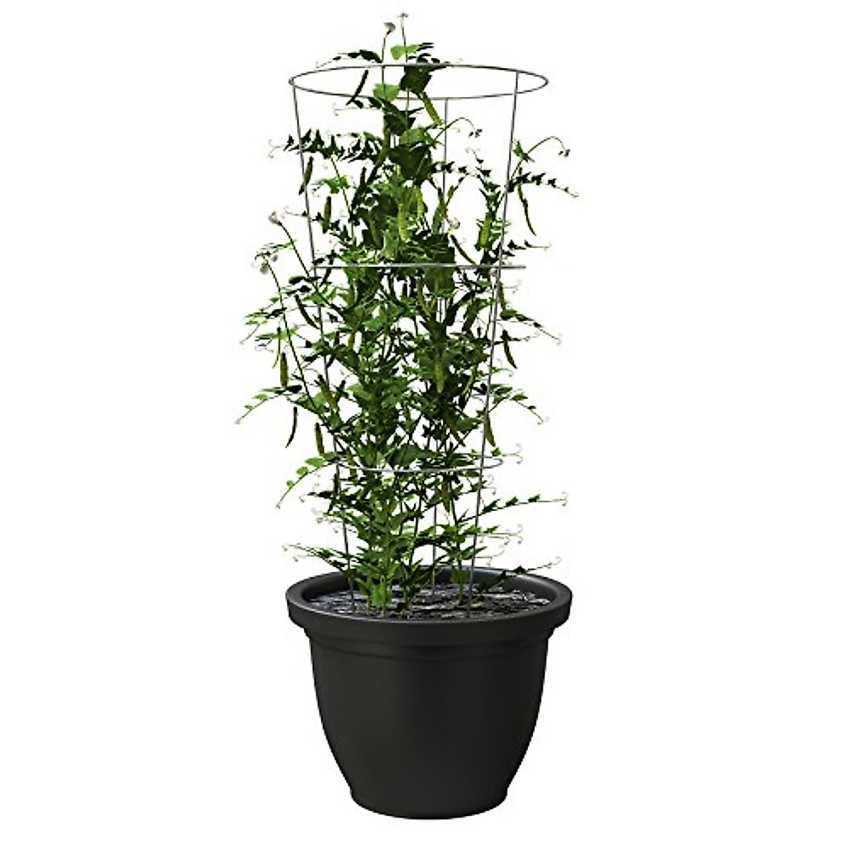 Panacea Products 89723 Tomato and Plant Support Cage,Galvanized, Pack of 10